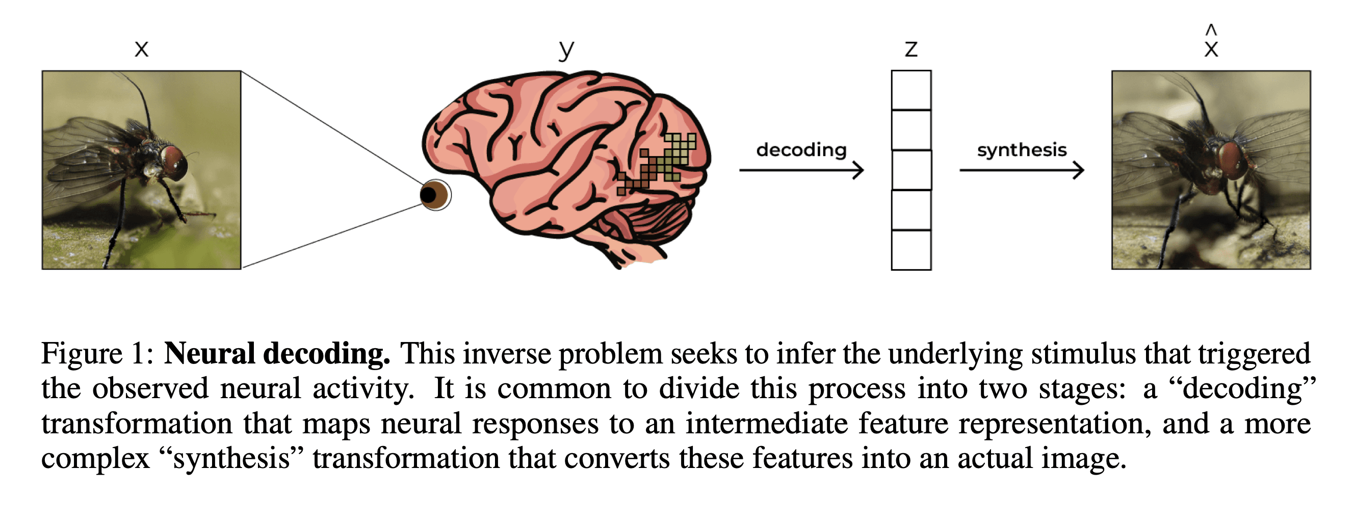 Predictive Attention Mechanism | Anthus